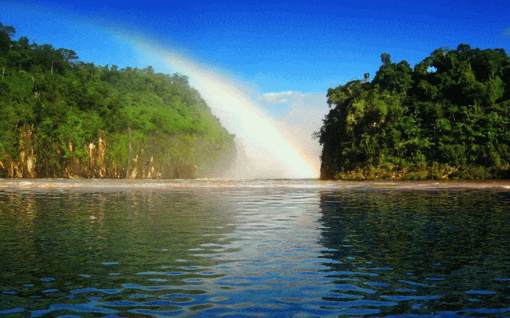 Nature Gif IceGif Nature Gif IceGif